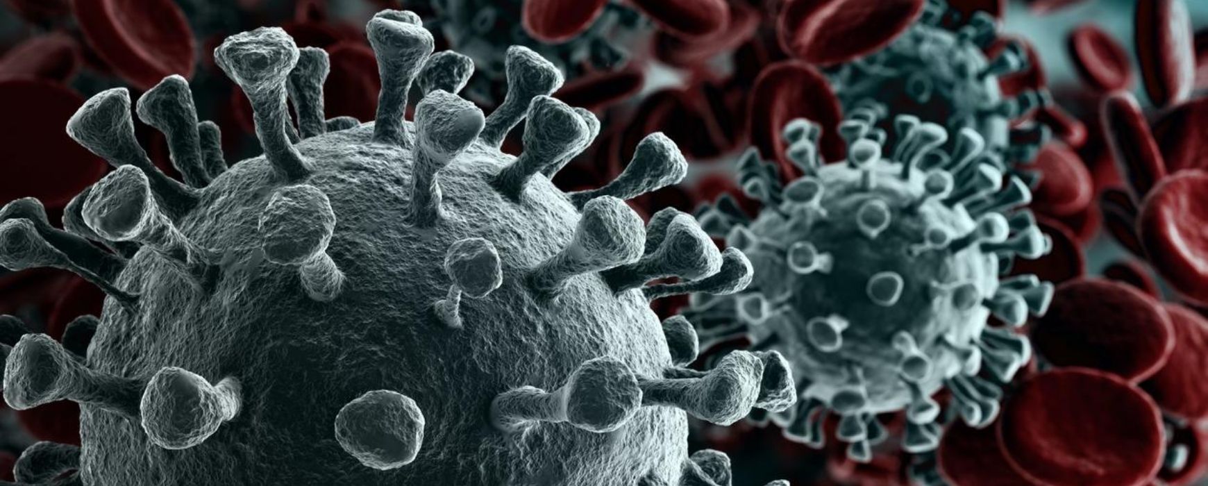 Κορωνοϊός: Πρώτη σύνδεση της απώλειας όσφρησης-γεύσης με γενετικούς ...