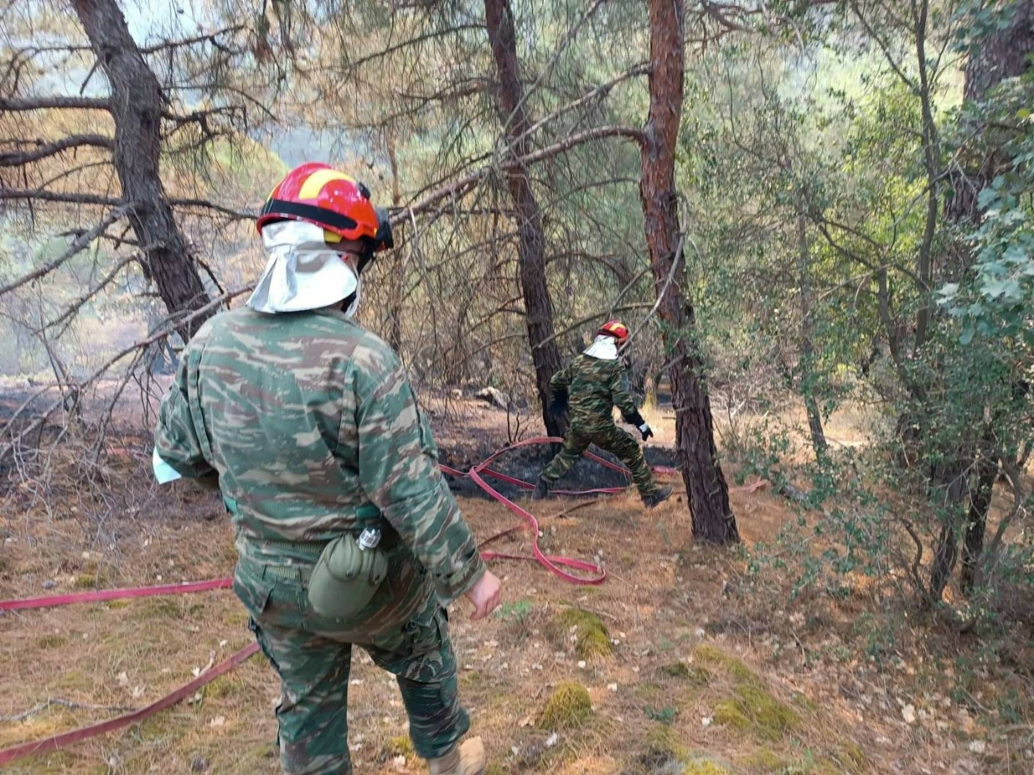 ΠΟΛΙΤΙΚΗ | ΤΟ ΠΟΝΤΙΚΙ