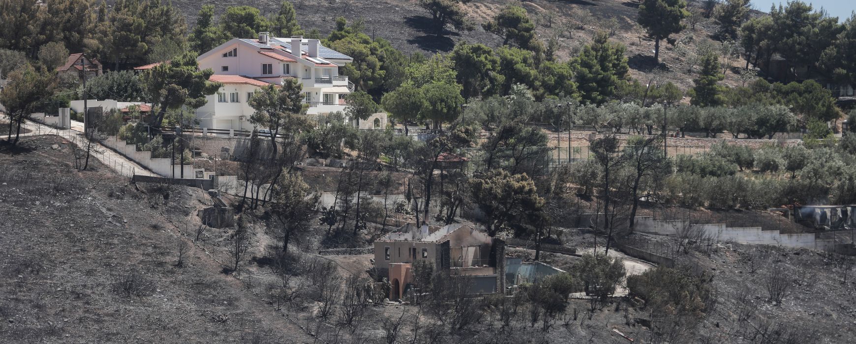 Πεντέλη: 20.350 στρέμματα έγιναν στάχτη από τη φωτιά – Ξεκίνησαν οι ...