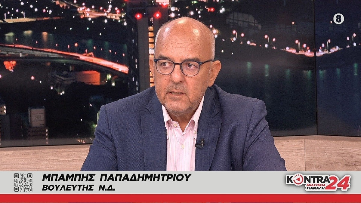 Παπαδημητρίου: «Μητσοτάκης ή χάος είναι το δίλημμα των εκλογών» (videos ...