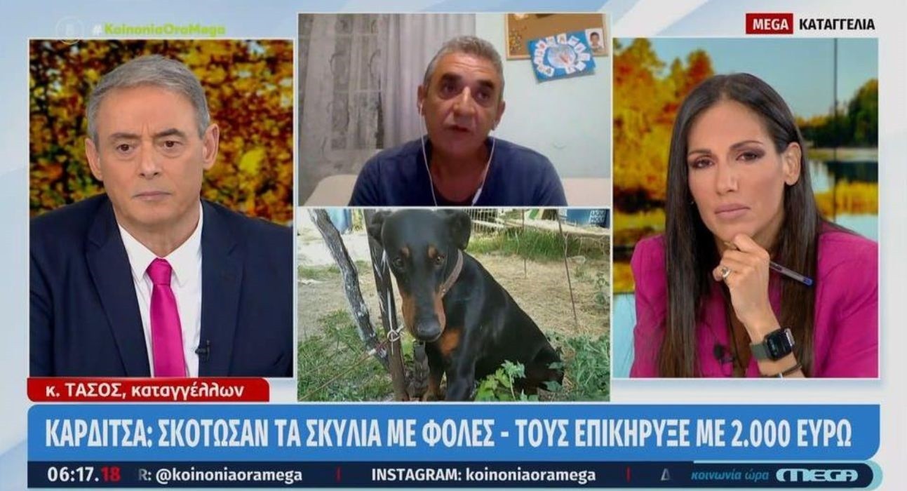 Καρδίτσα: Σκότωσαν με φόλες δύο λυκόσκυλα – Επικηρύχθηκαν οι δράστες με ...