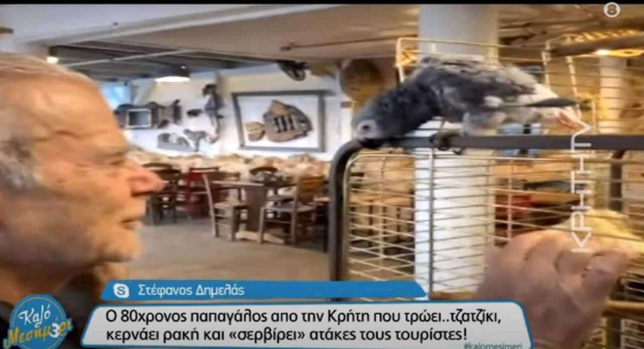 Κρήτη: 80χρονος μερακλής παπαγάλος τρώει τζατζίκι και κερνάει ρακή ...