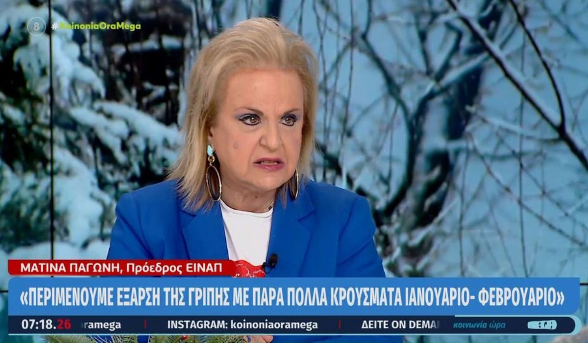 Παγώνη: «Ιανουάριο-Φεβρουάριο περιμένουμε έξαρση της γρίπης» (Video ...