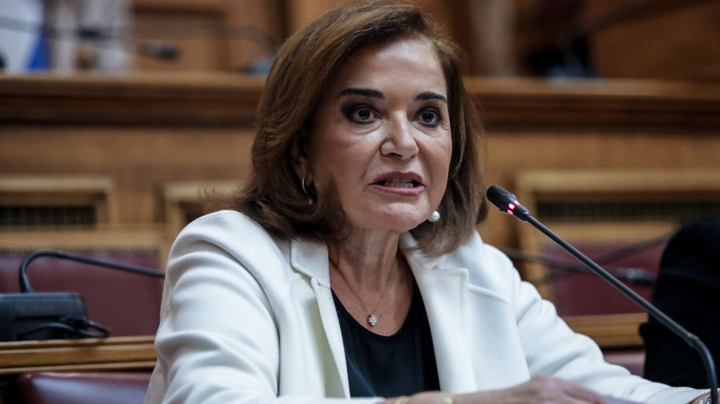 Ντόρα Μπακογιάννη: Αυτοκτονική η επιλογή να σταλεί στη Ροδόπη ...