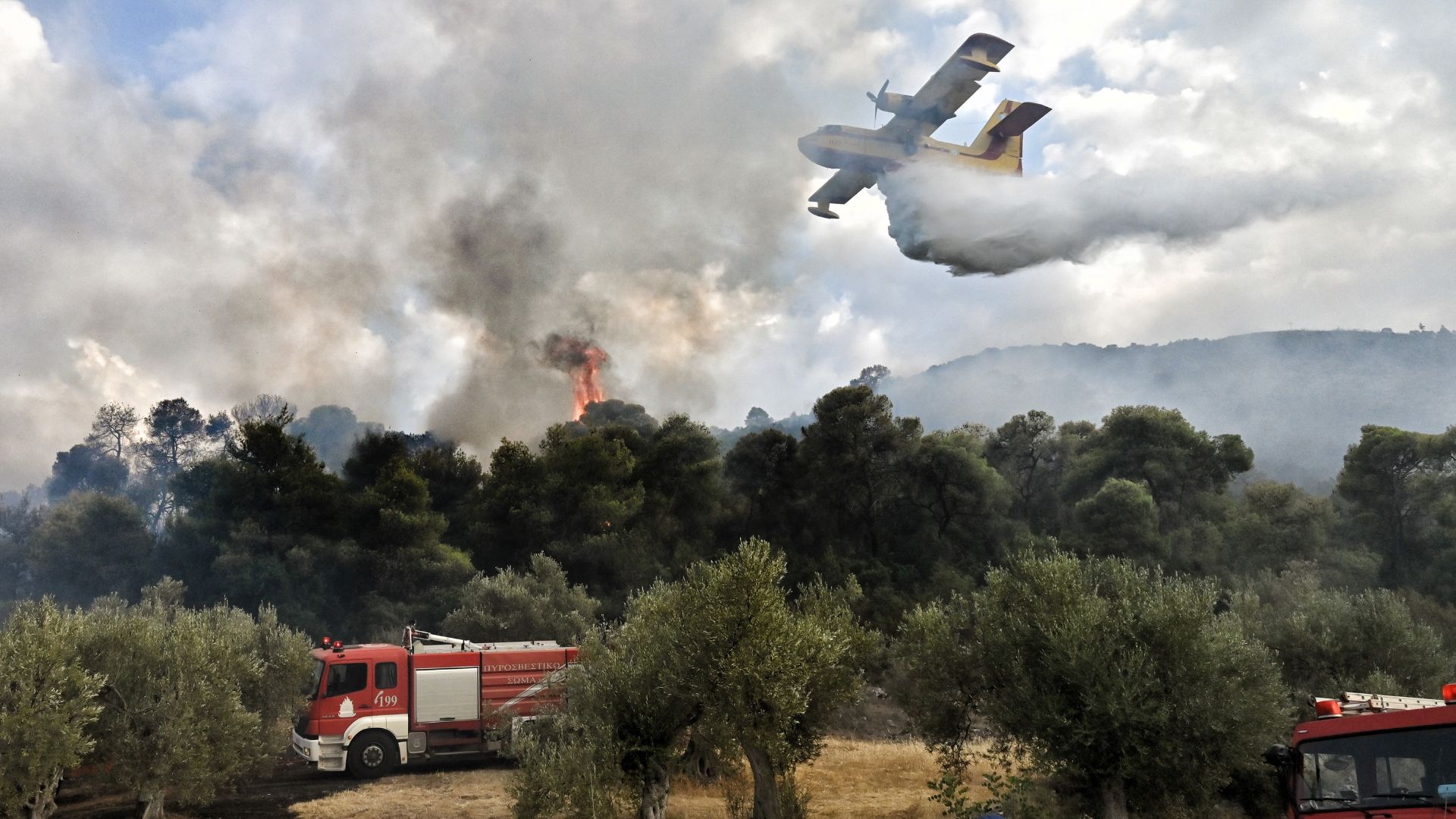 Καλύβια: Οριοθετήθηκε η φωτιά – Αποκαταστάθηκε η κυκλοφορία | topontiki.gr