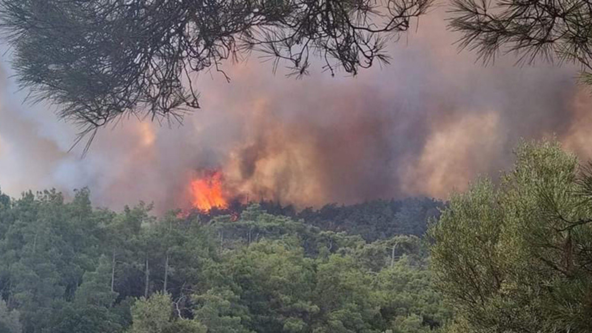 Φωτιά στη Ρόδο: Ακυρώθηκε η εκκένωση του οικισμού Απόλλωνα ...