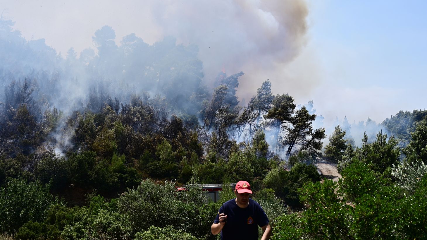 Ρόδος: Φωτιά σε δασική έκταση – Ζητούνται και εναέρια μέσα | topontiki.gr