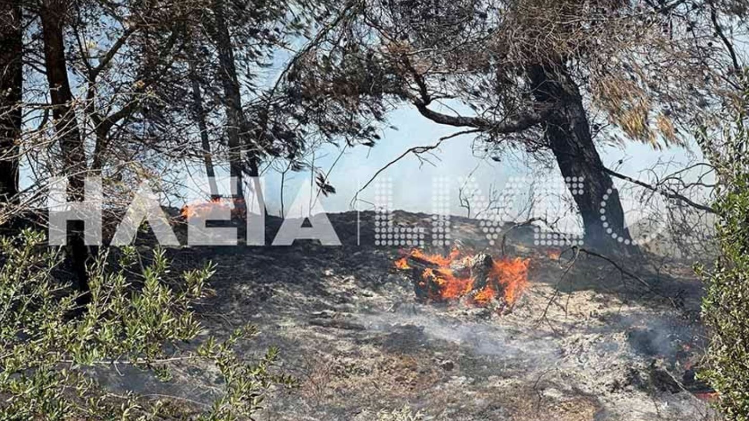 Υπό μερικό έλεγχο η φωτιά στην Ηράκλεια Ηλείας | topontiki.gr