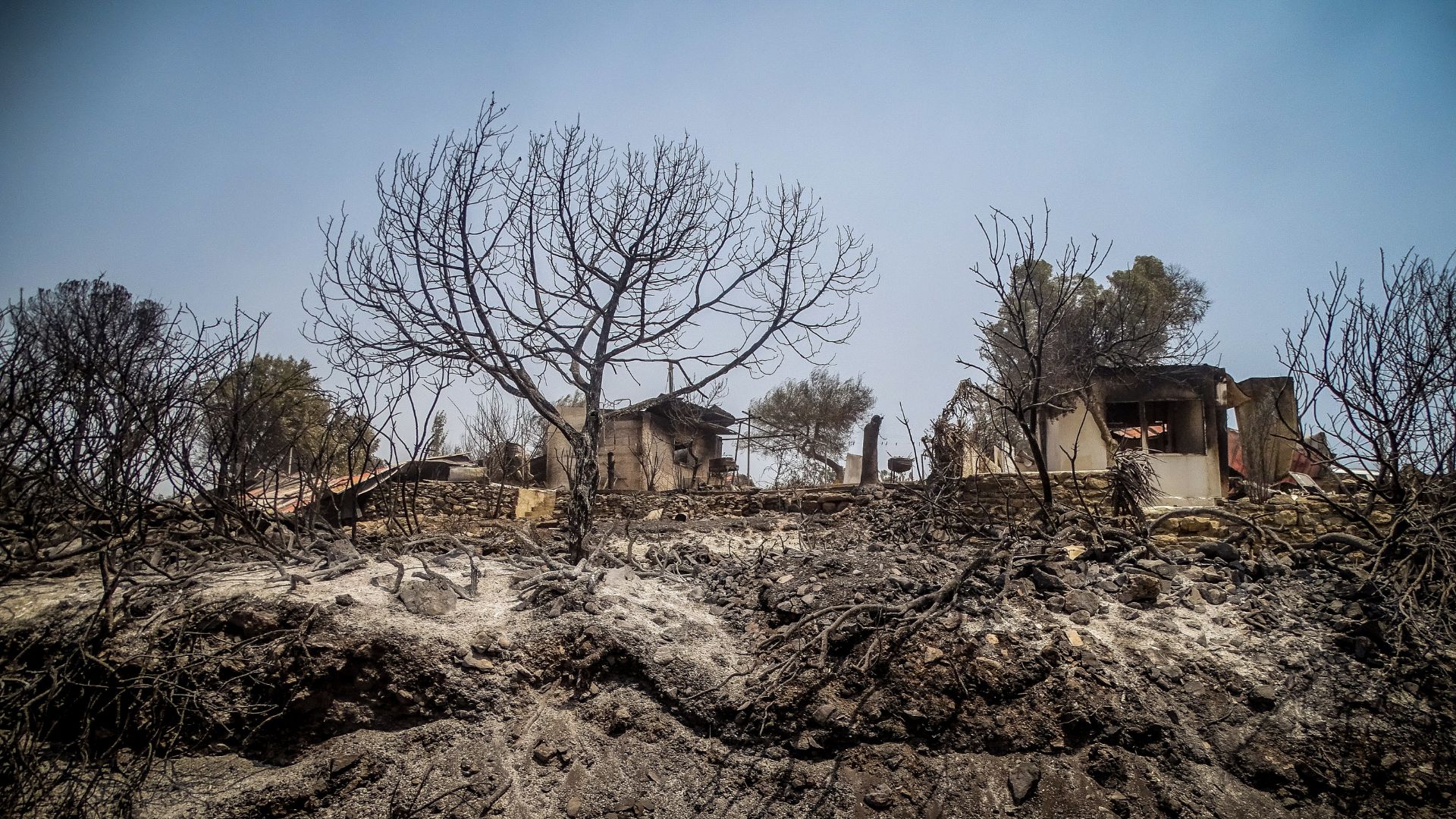 Φωτιές: Τεράστια οικολογική καταστροφή – Πάνω από 380.000 στρέμματα ...