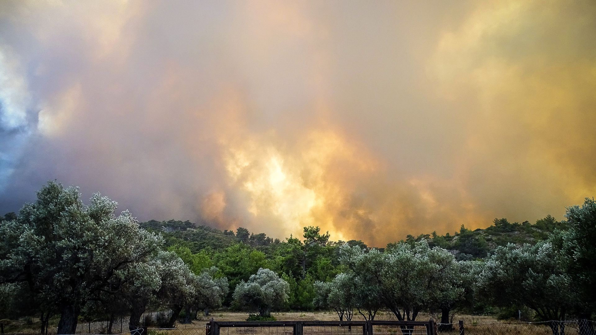 Φωτιές: Εκτός ελέγχου η φωτιά στη Ρόδο κάηκαν σπίτια, εκκενώνεται το ...