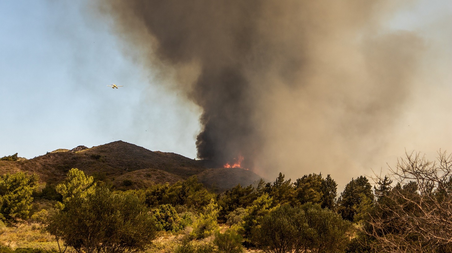 Φωτιά στη Ρόδο: Τεράστια η περιβαλλοντική καταστροφή – Έχουν καεί ...