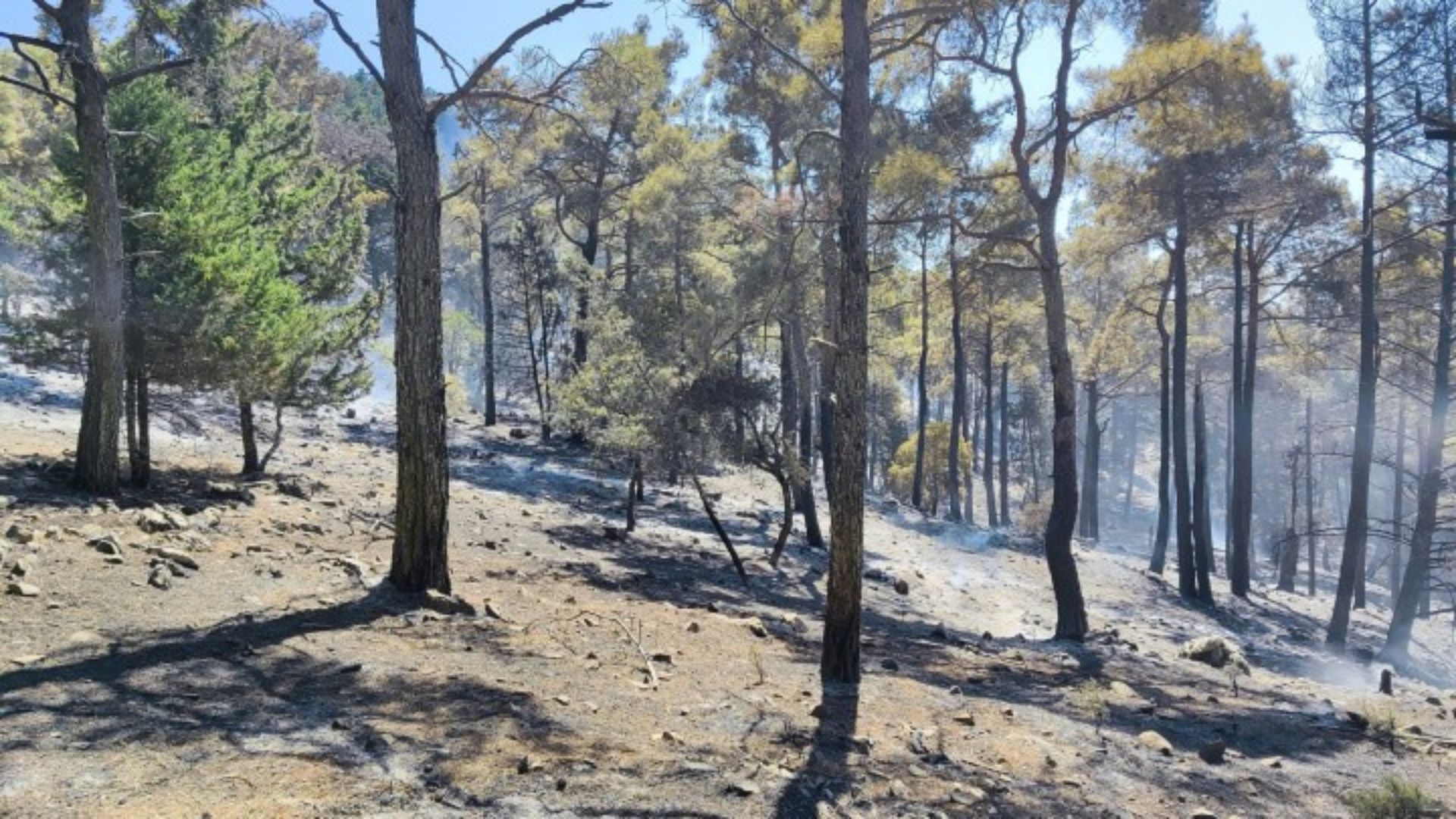 Μάχη με τις αναζωπυρώσεις σε Ρόδο και Λακωνία – Σε ύφεση τα υπόλοιπα ...