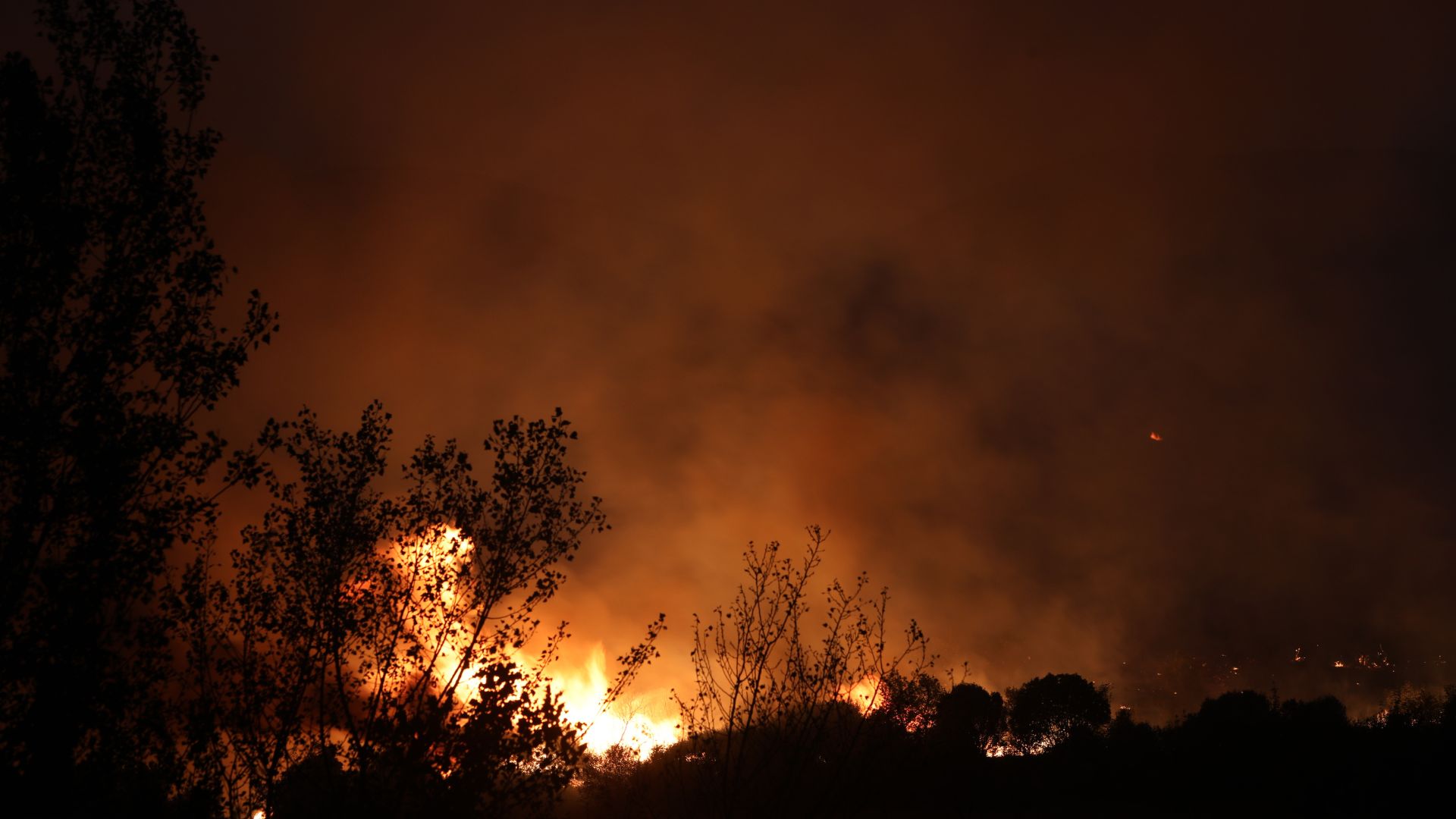 Φωτιά σε Εύβοια, Έβρο, Βοιωτία, Καβάλα, Aλεξανδρούπολη: «Βροχή» τα ...