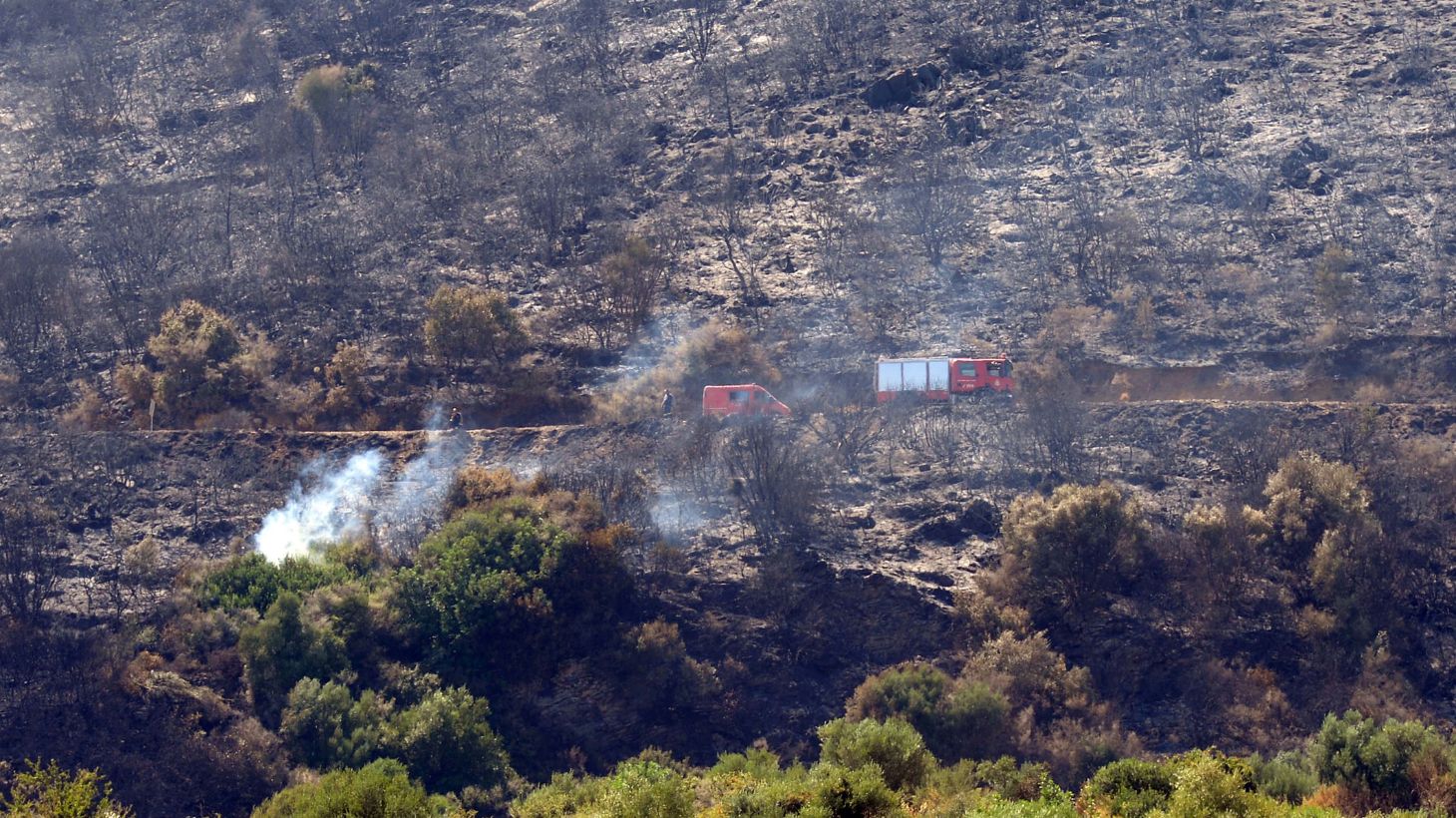 Υπό μερικό έλεγχο η φωτιά στη Μεσσηνία – Επιχειρούν και εναέρια μέσα ...