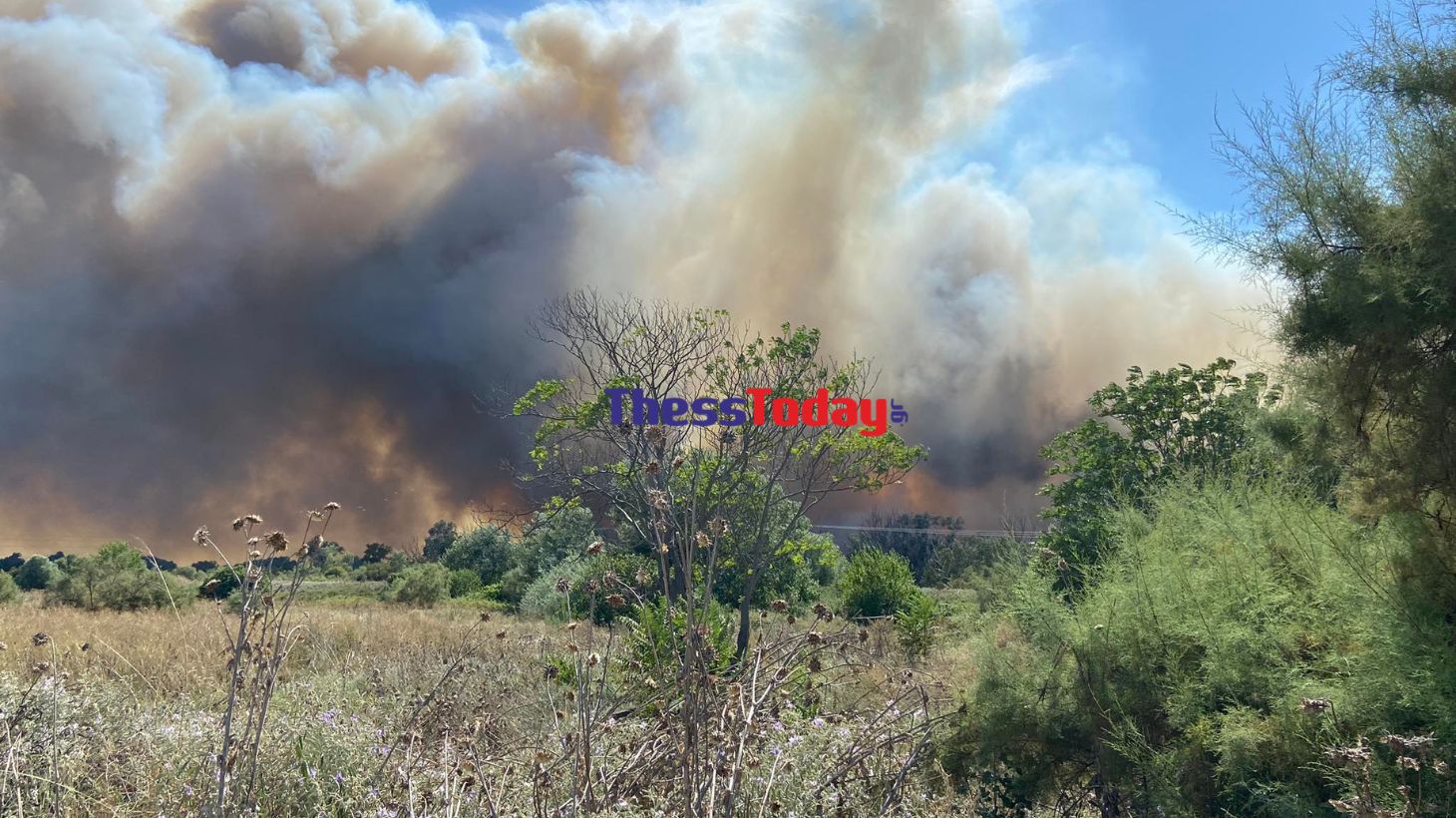 Υπό μερικό έλεγχο η φωτιά στη Σίνδο Θεσσαλονίκης (Videos) | topontiki.gr