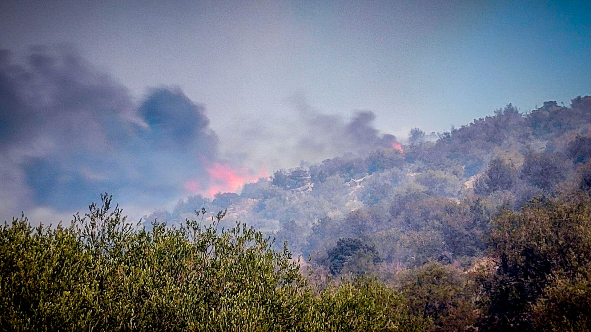 Φωτιά στη Βοιωτία: Νέο μέτωπο στον Ταρσό – Συνεχείς εκκενώσεις οικισμών ...