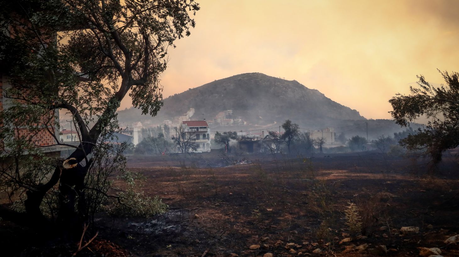 Θρίλερ με το καμένο κρανίο που βρέθηκε στη Φυλή | topontiki.gr