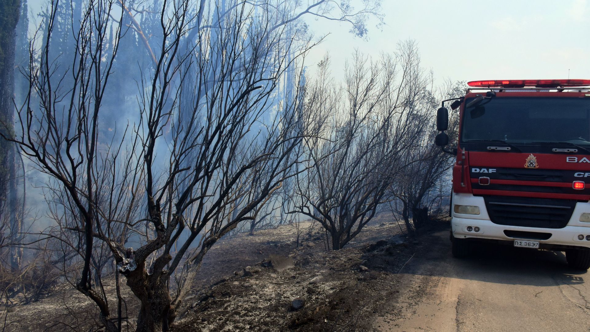 Φωτιά στον Έβρο: Μάχη με τον εφιάλτη για 14η ημέρα – Eχει περικυκλωθεί ...