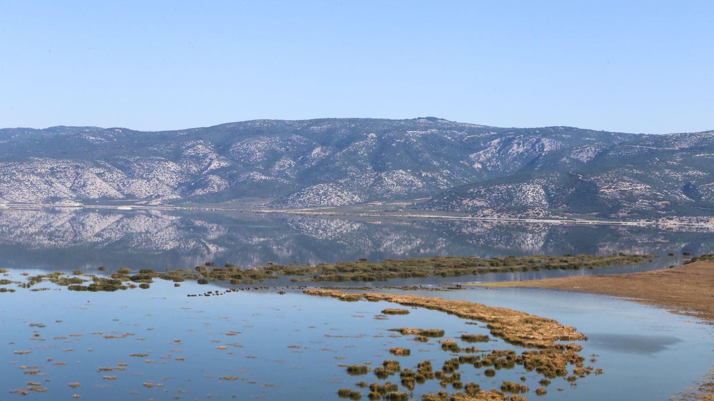 Πρόεδρος ΕΟΔΥ για γαστρεντερίτιδα στη Μαγνησία: «Προήλθε από σαλμονέλα ...