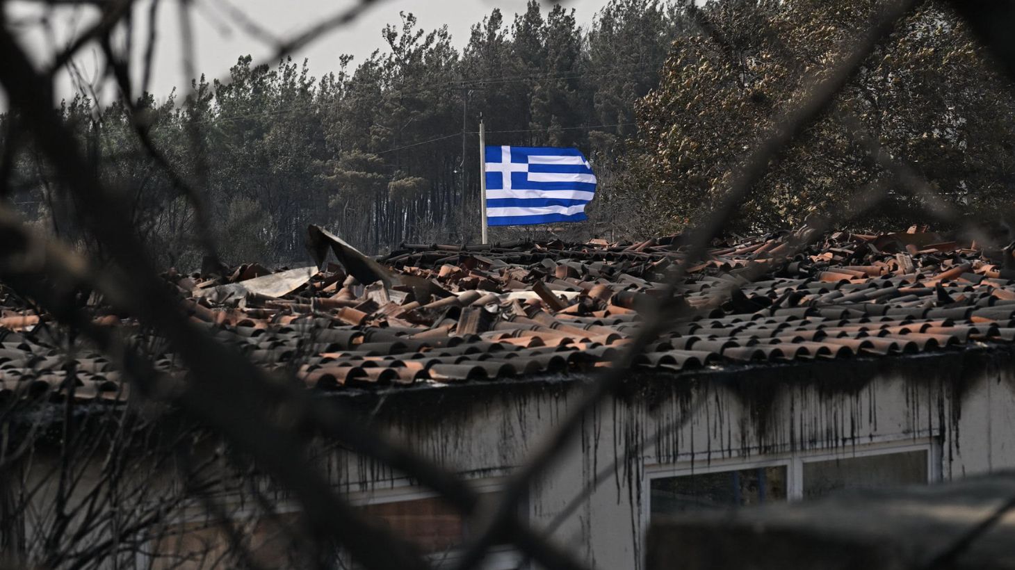 Ασύλληπτη καταστροφή στον Έβρο: Στάχτη πάνω από 935.000 στρέμματα ...