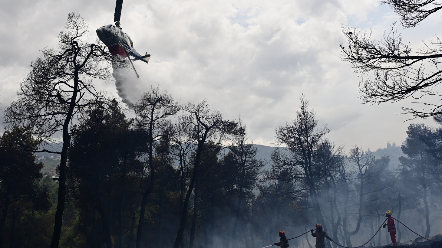 Φωτιά στη Σταμάτα: Μια σύλληψη για εμπρησμό | topontiki.gr