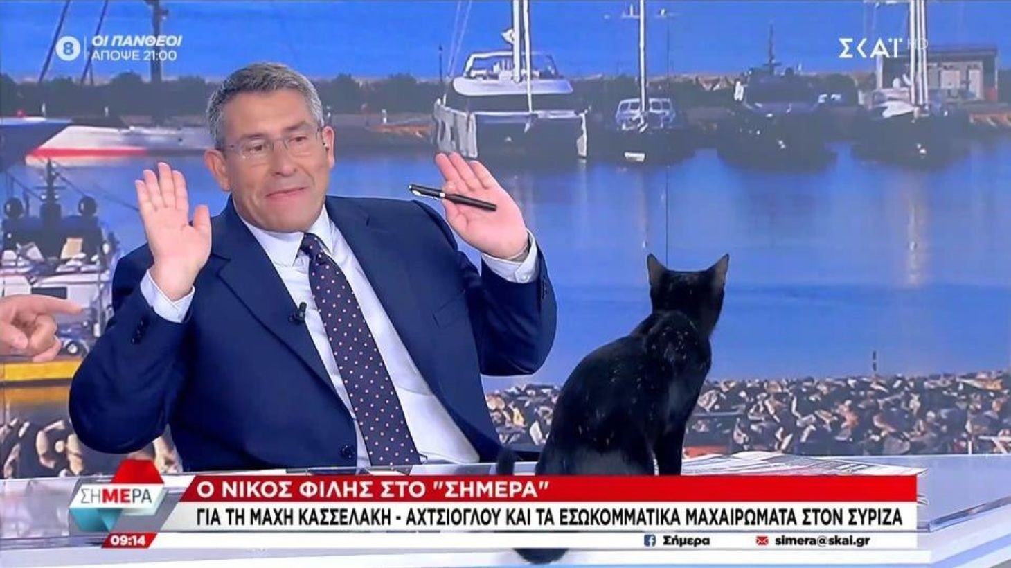 ΣΚΑΪ: Μαύρη γάτα «εισέβαλε» στο πλατό την ώρα που μιλούσε ο Νίκος Φίλης ...