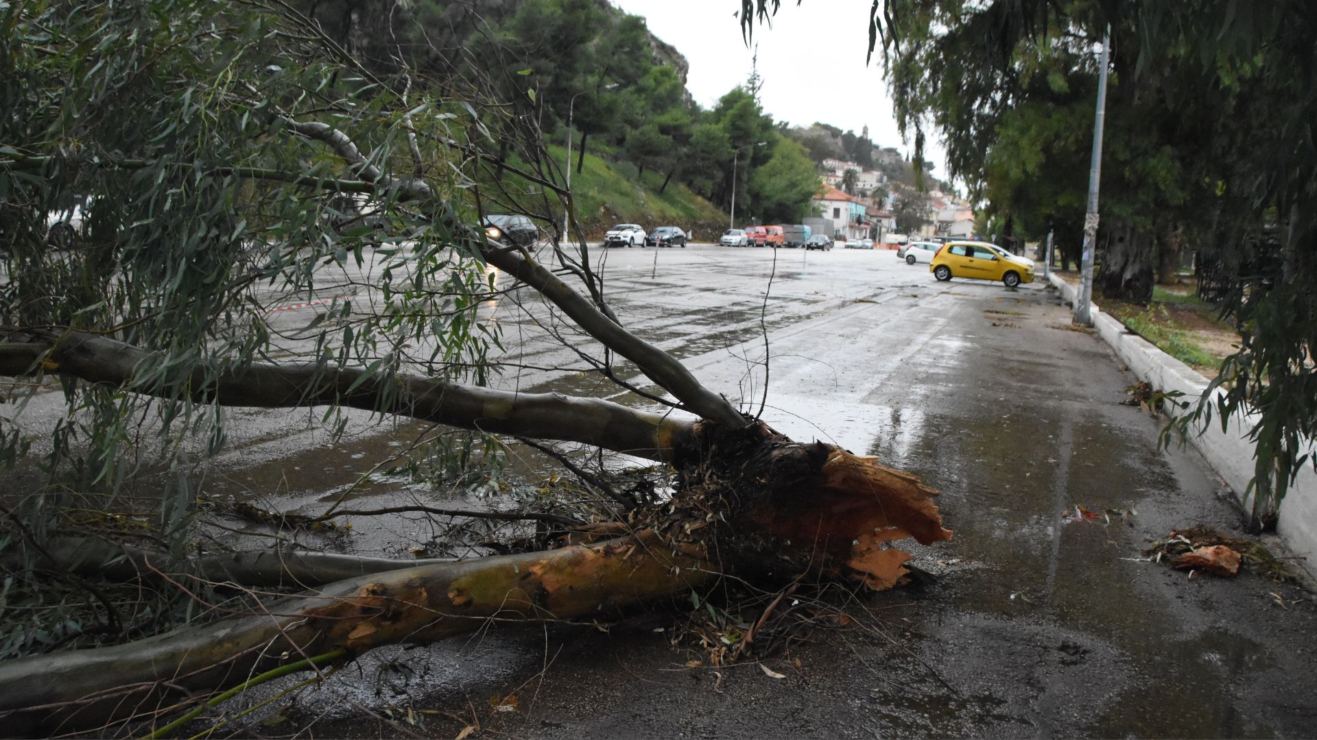 Χαλκιδική: Αίτημα να κηρυχθεί ο δήμος Κασσάνδρας σε κατάσταση έκτακτης ...