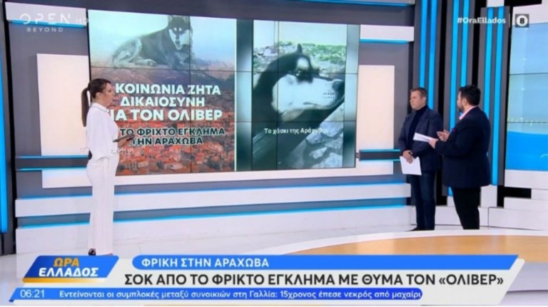 Αράχωβα: Δημοσιογράφος του OPEN «λύγισε» για την κτηνωδία στον Όλιβερ ...