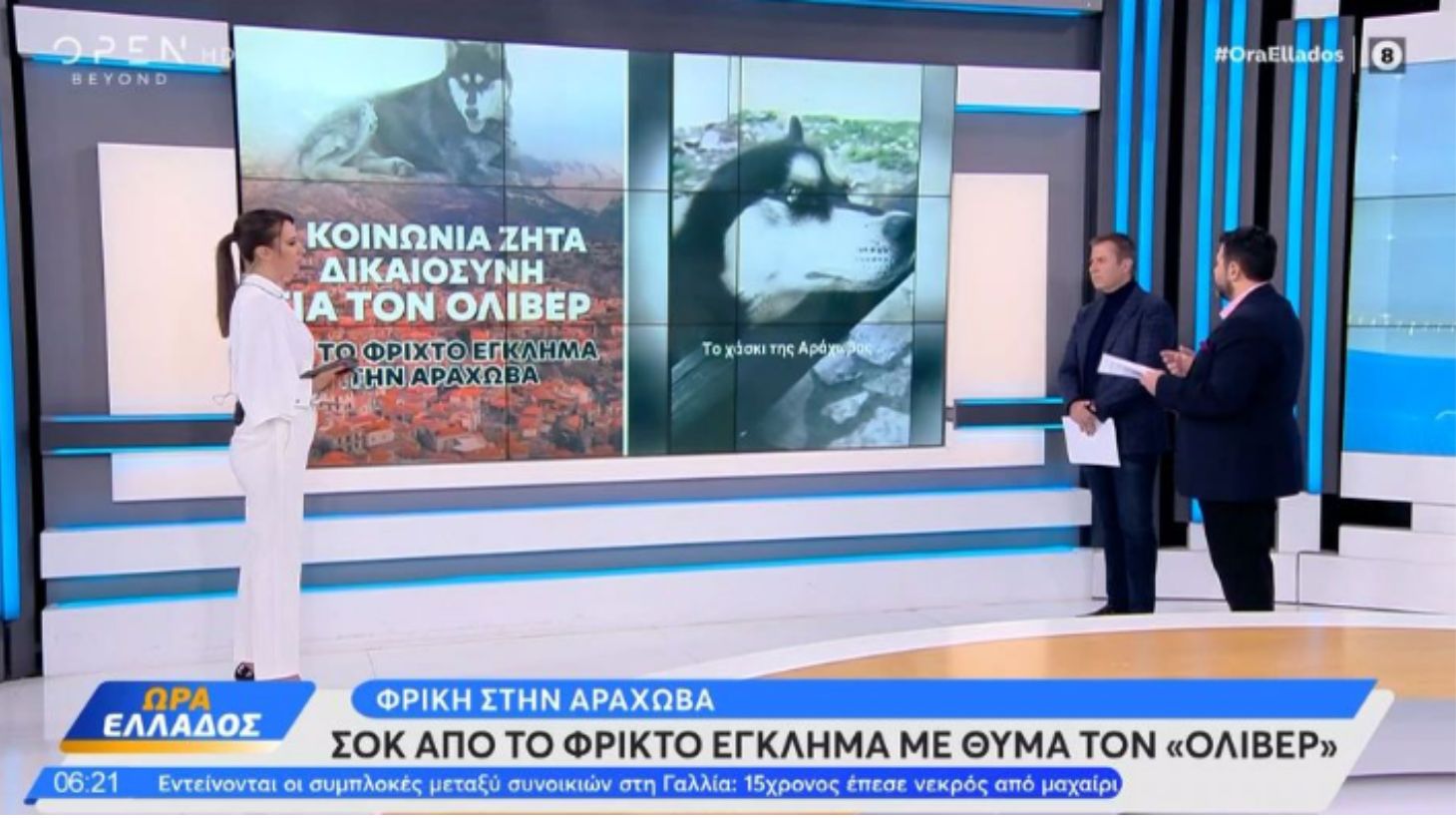 Αράχωβα: Δημοσιογράφος του OPEN «λύγισε» για την κτηνωδία στον Όλιβερ ...