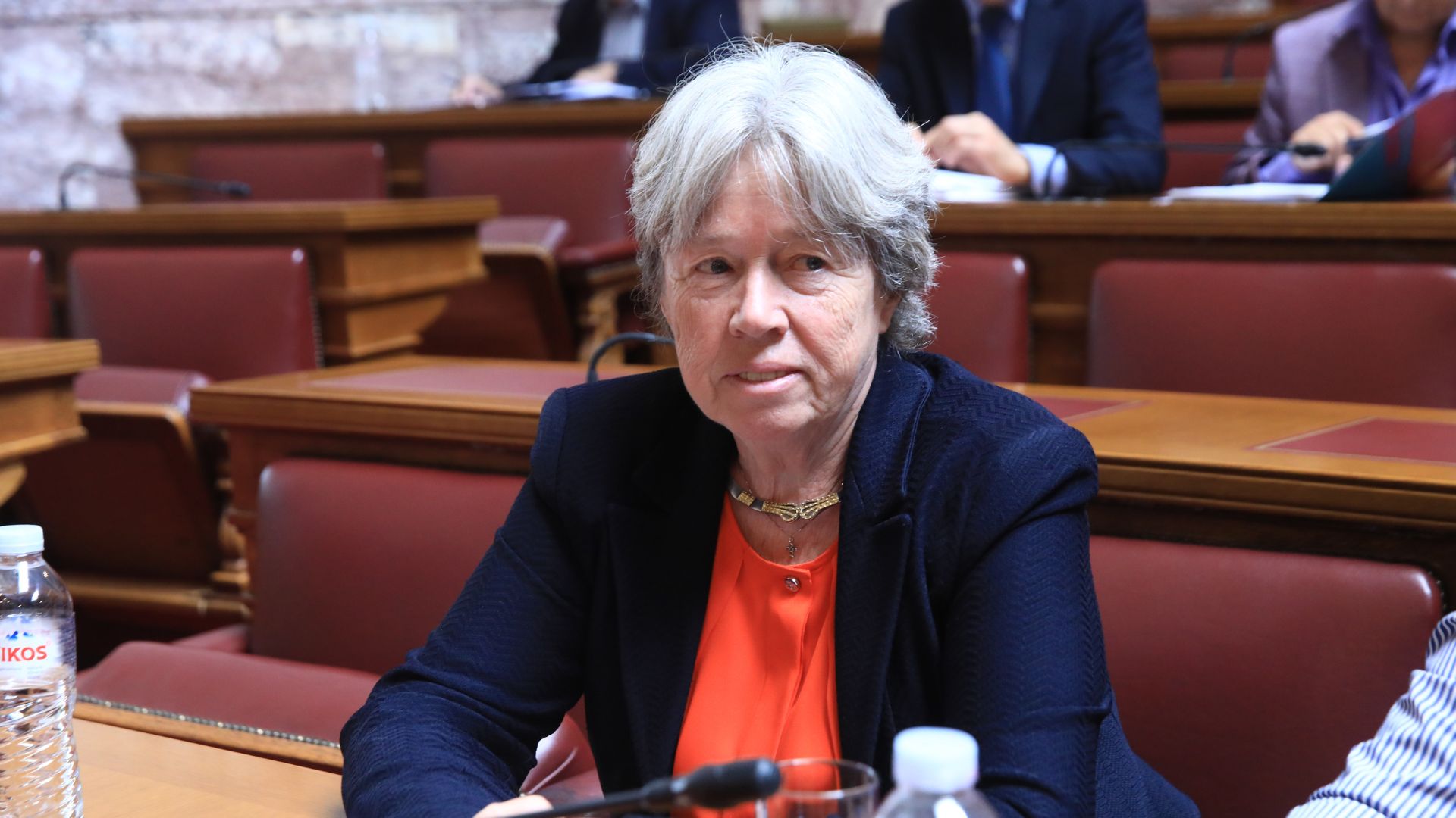 Αθηνά Λινού: Παραιτήθηκε από τομεάρχης Παιδείας της ΚΟ του ΣΥΡΙΖΑ ...