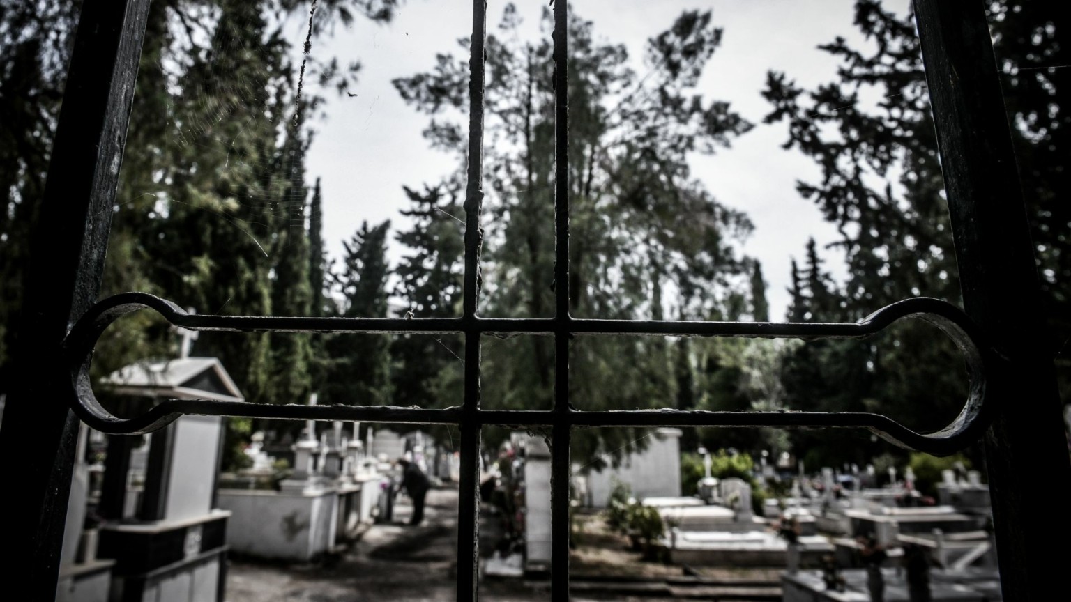 «Απορώ πώς άντεξε τόσο κρύο» – Τι λέει η διασώστρια που βρήκε την ...