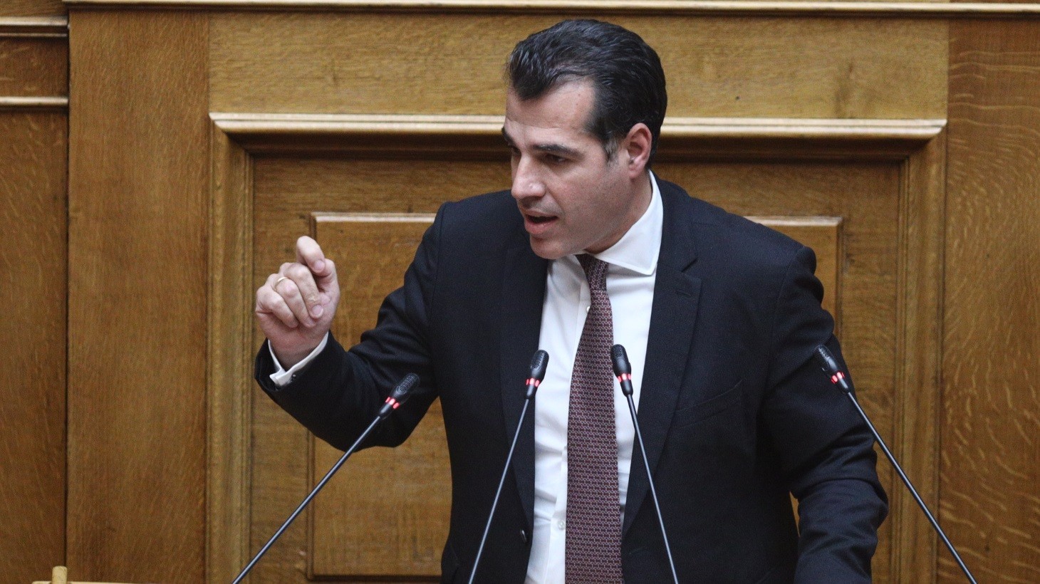 Ο Πλεύρης προσφεύγει στη Δίωξη μετά τις απειλές ανώνυμου χρήστη κατά ...