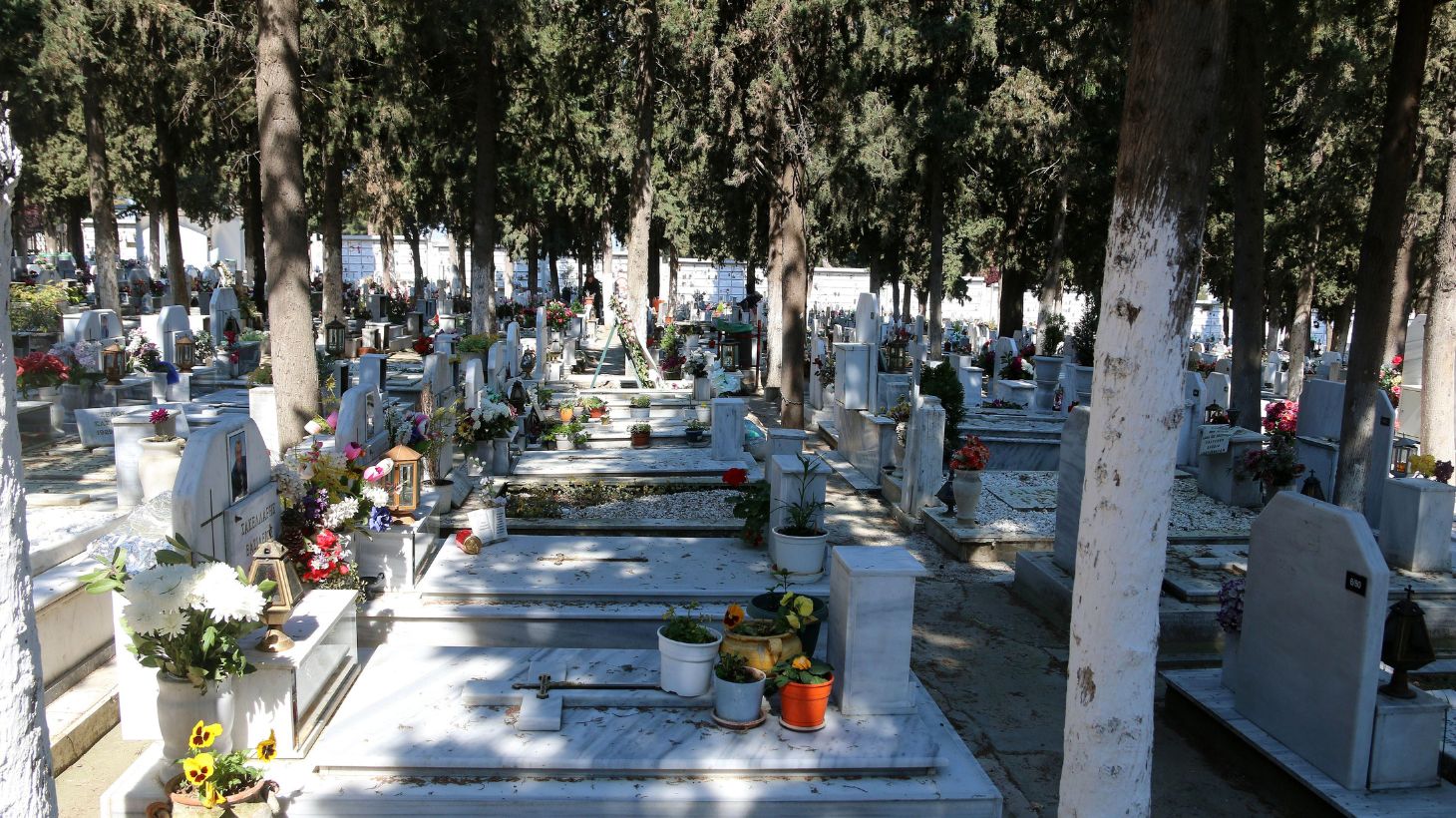 Σοκ στην Ηλεία! Νεαρός αυτοκτόνησε δίπλα από τον τάφο του πατέρα του ...