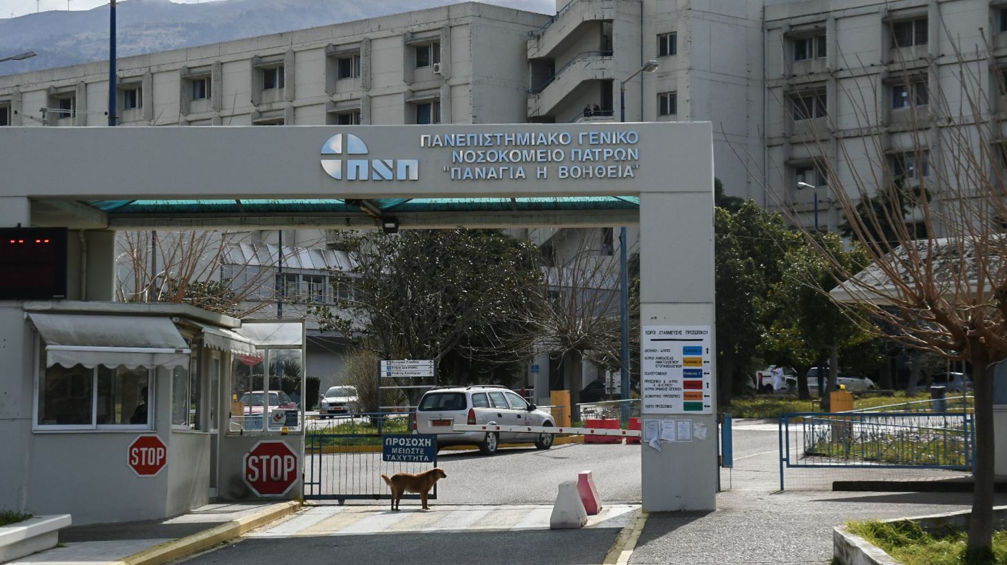 Πάτρα: Στο Τορίνο θα μεταφερθεί για μεταμόσχευση ο 15χρονος που υπέστη ...