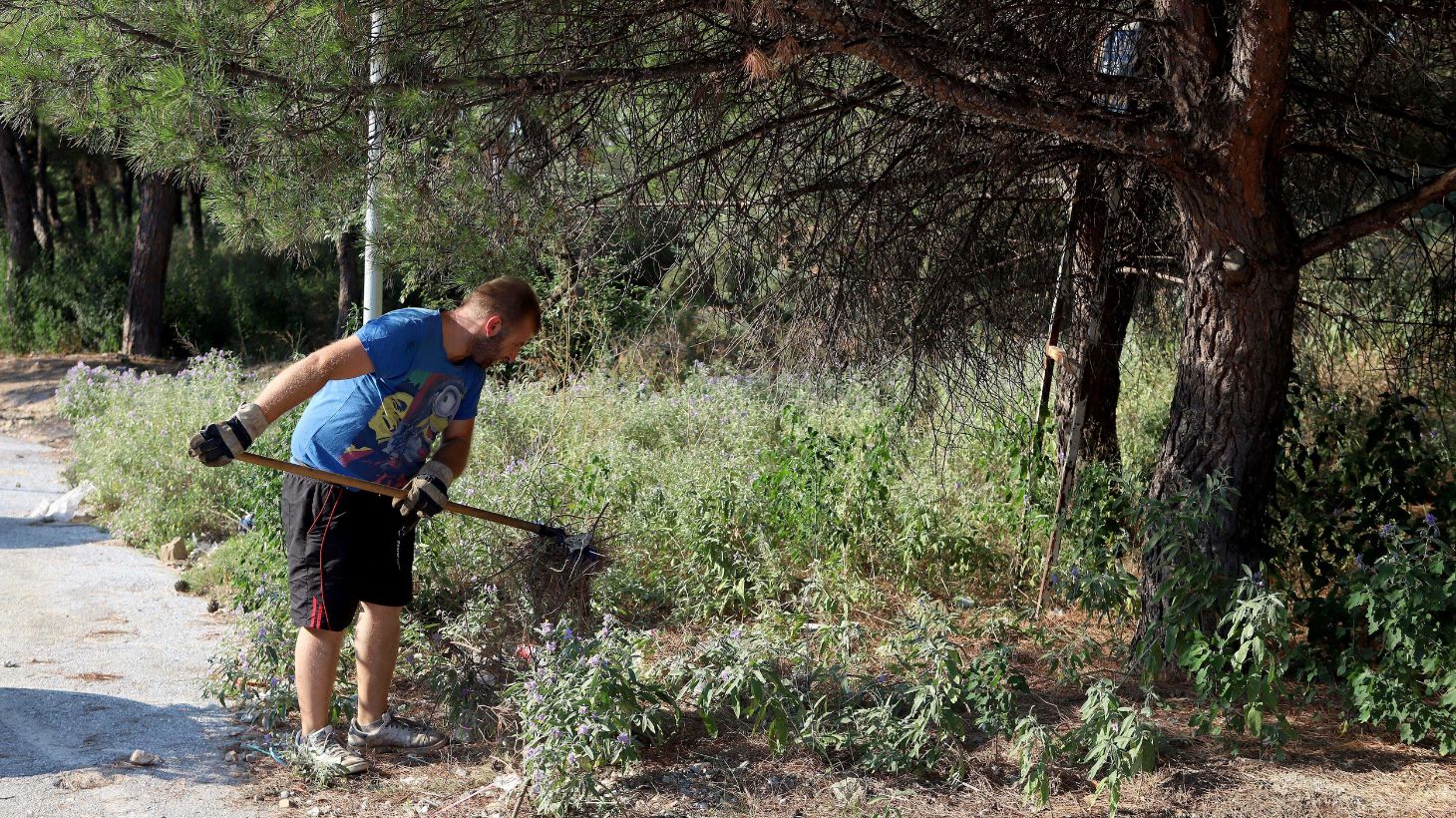 Καθαρισμός οικοπέδων: Παράταση έως τις 30 Ιουνίου για δηλώσεις στην ...