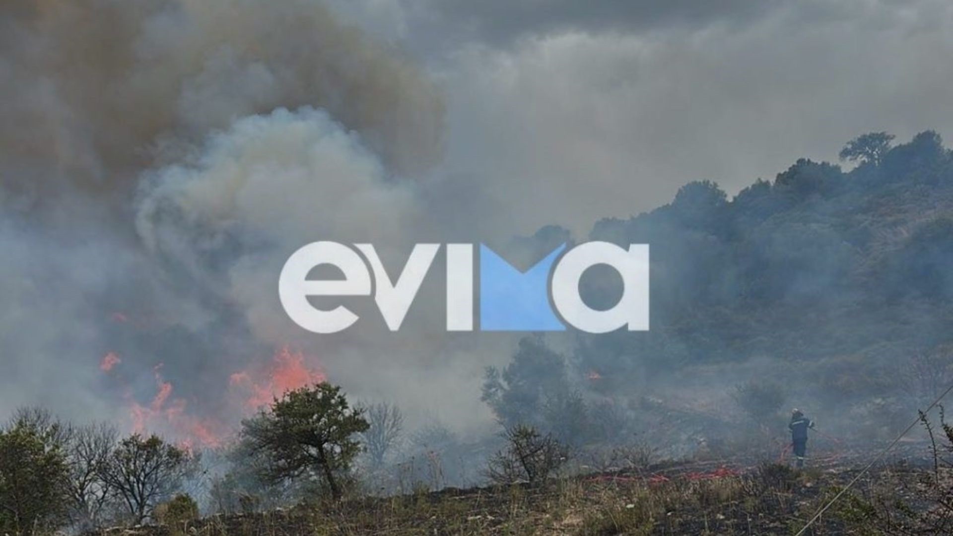 Φωτιά στην Εύβοια: Καίγεται δασική έκταση ανάμεσα στον Αλμυροπόταμο και ...