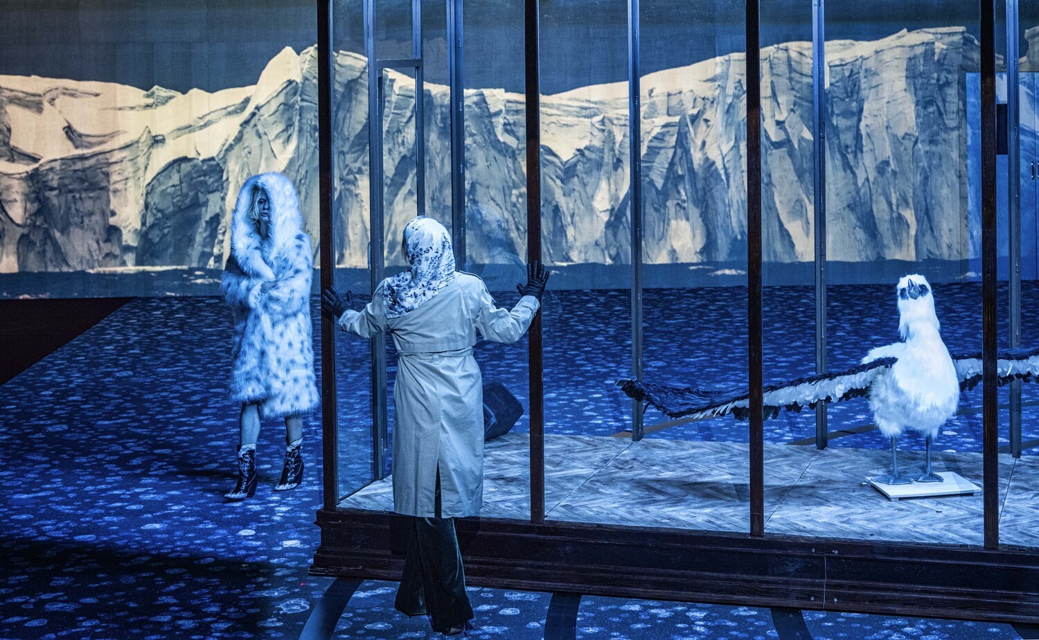 «Elizabeth Costello -Επτά μαθήματα και πέντε παραβολές» του Τζον ...