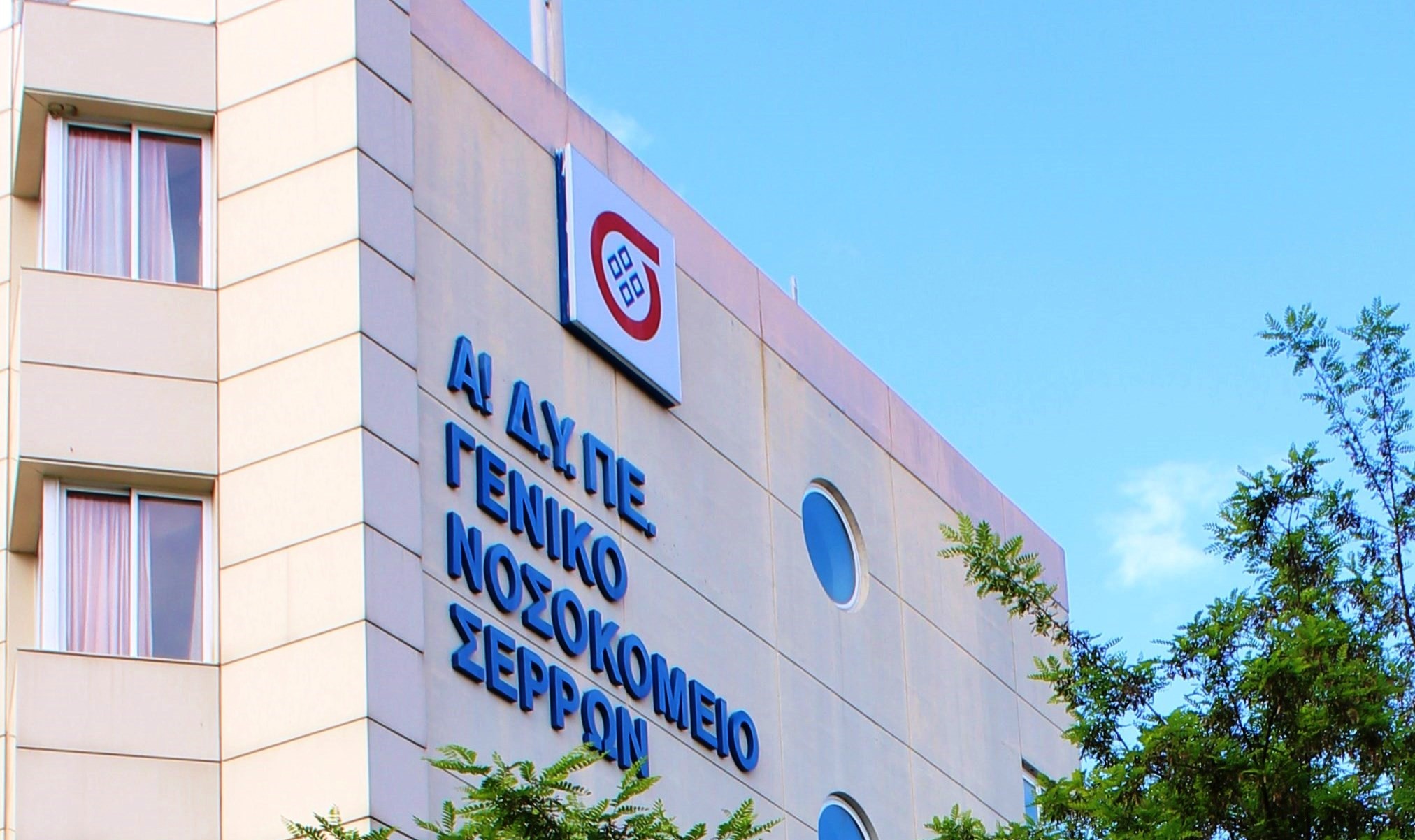 Σέρρες: Σκύλος επιτέθηκε και τραυμάτισε στο κεφάλι 7χρονο παιδί ...