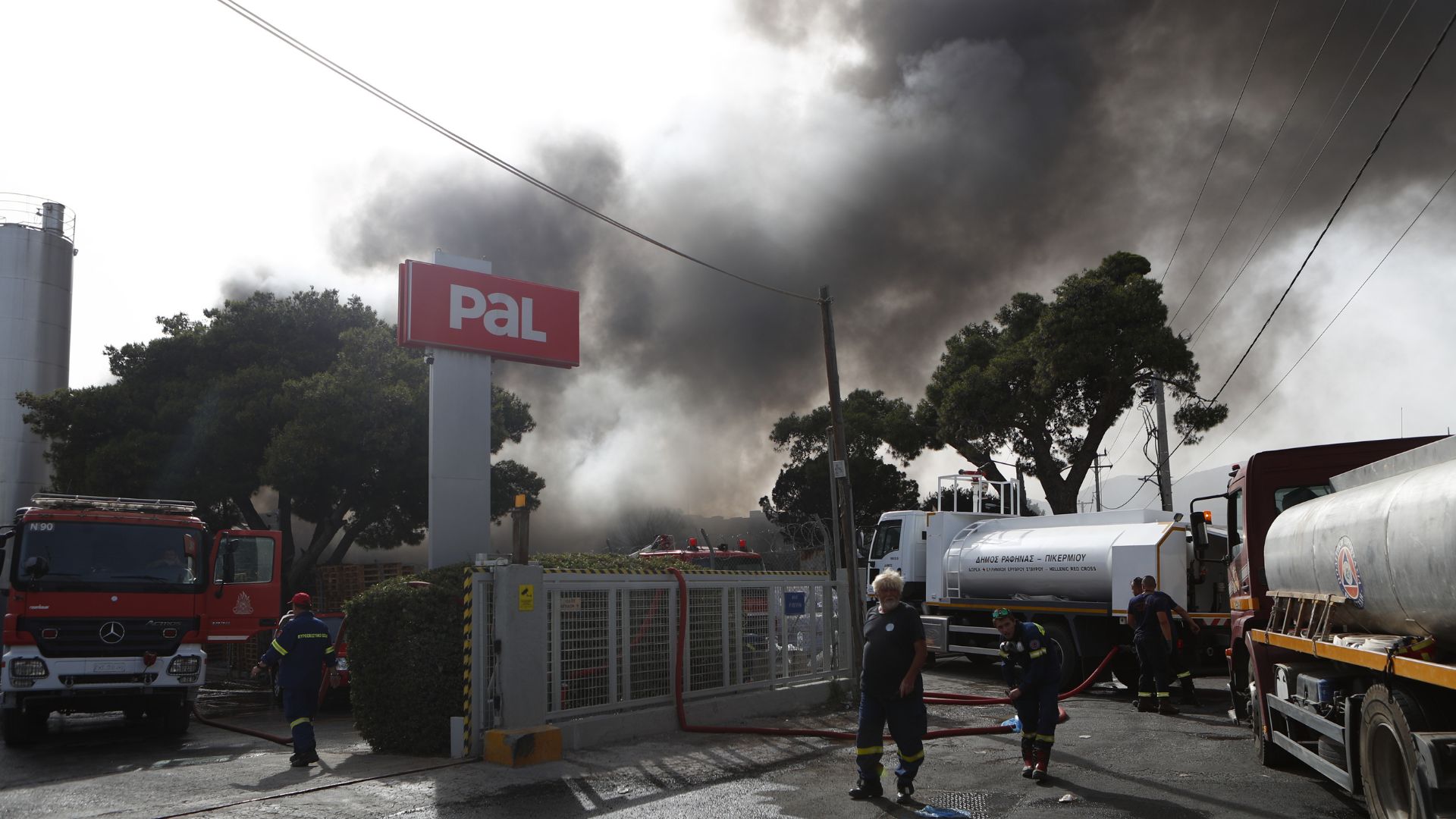 Pal Παλαμήδης: Ποιο είναι το εργοστάσιο του συζύγου της Μίνας Γκάγκα ...