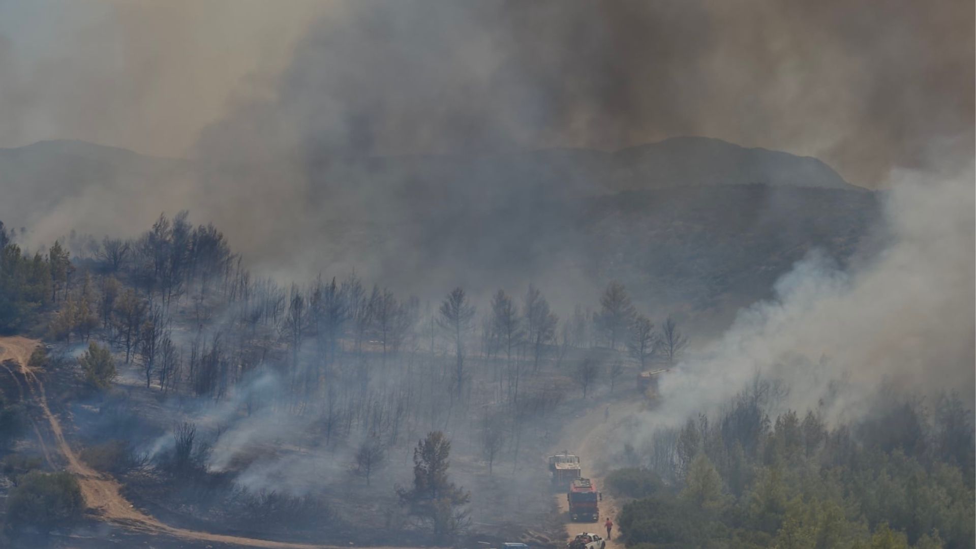 Φωτιά στον Ωρωπό: Ήχησε το 112, ρίψεις νερού από αεροσκάφη και ...