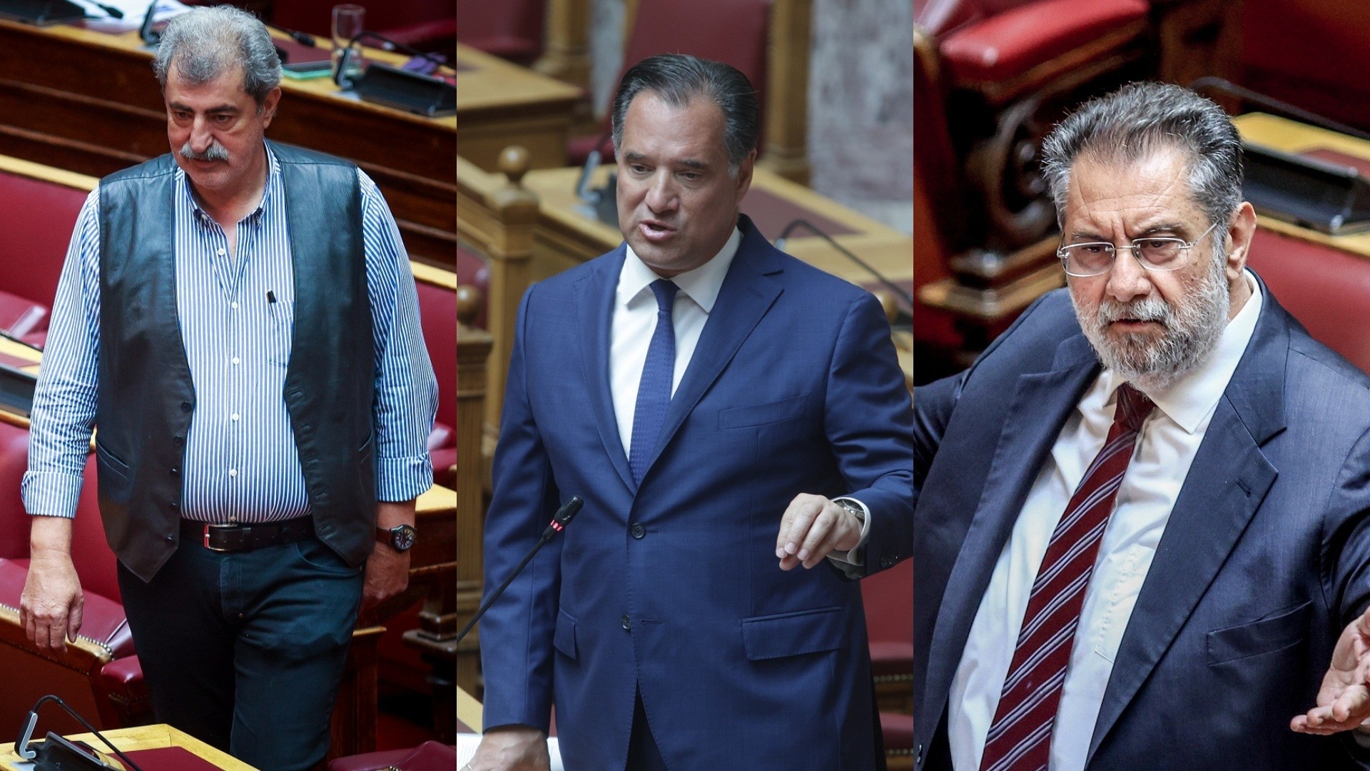 Πολάκης και Παναγιωτόπουλος κατά Αδωνι για τα ανενεργά ΑΜΚΑ ...