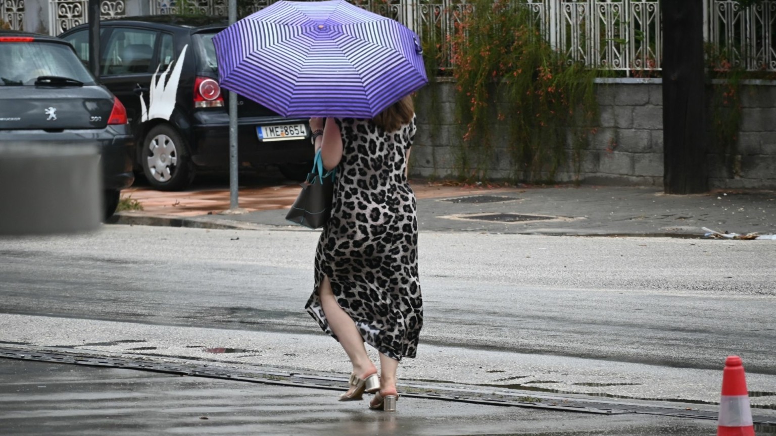 ΕΛΛΑΔΑ | topontiki.gr