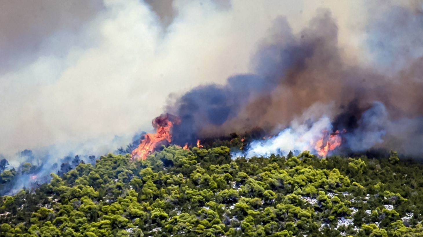Επείγουσα έκκληση βουλευτή Εύβοιας του ΚΚΕ στον Κεφαλογιάννη για τη ...