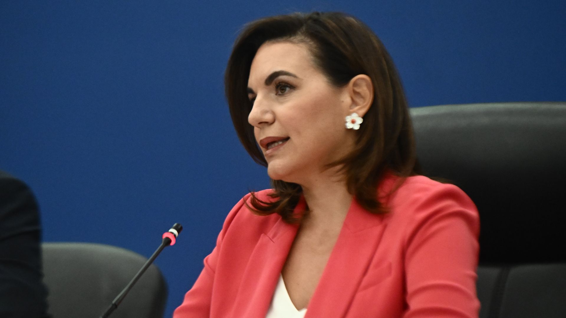 Όλγα Κεφαλογιάννη: Προσχηματική και υποκριτική η πρόταση δυσπιστίας ...