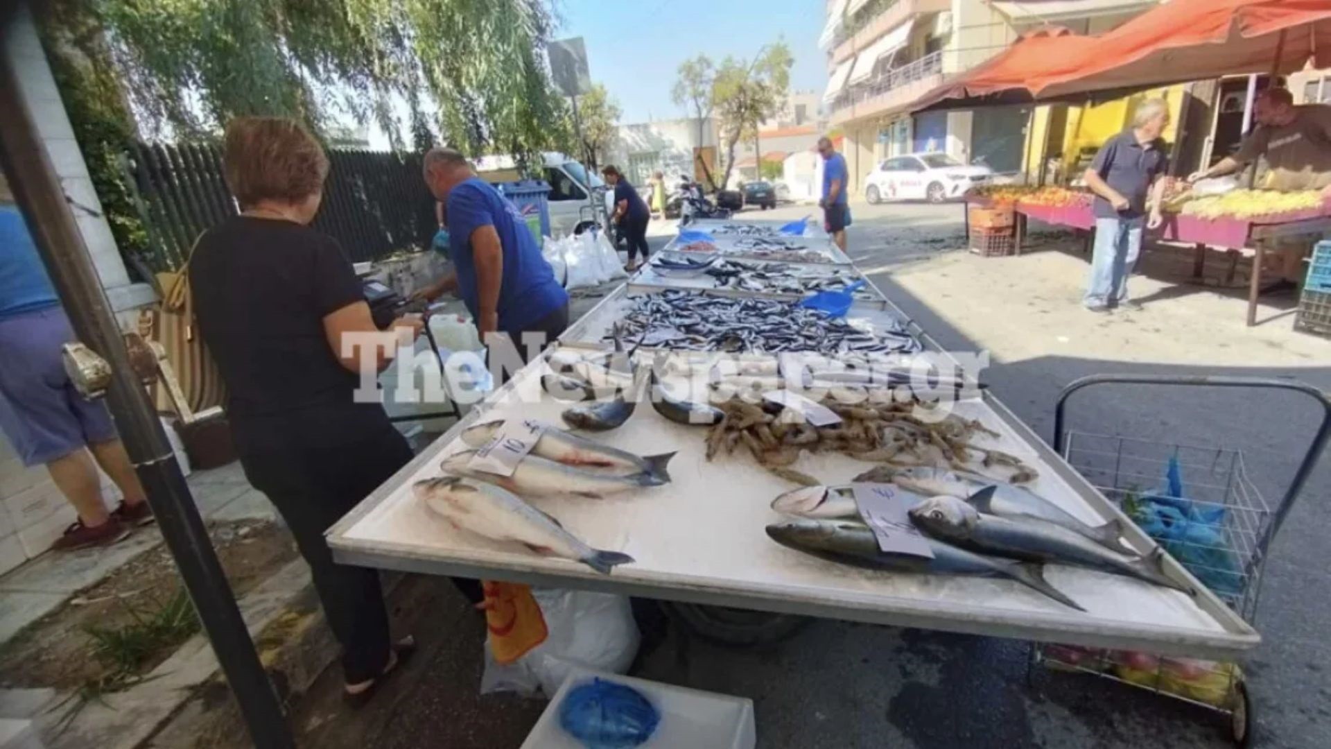 Βόλος: Οι εικόνες με τα νεκρά ψάρια στον Παγασητικό φέρνουν και ...
