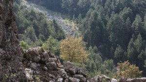 Γράμμος: Οι εξηγήσεις του Στρατού για τη διάνοιξη δρόμου σε περιοχή ...