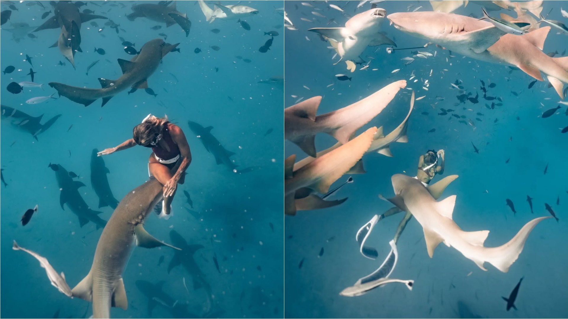 Η στιγμή που καρχαρίας δαγκώνει influencer στις Μαλδίβες – Το viral ...