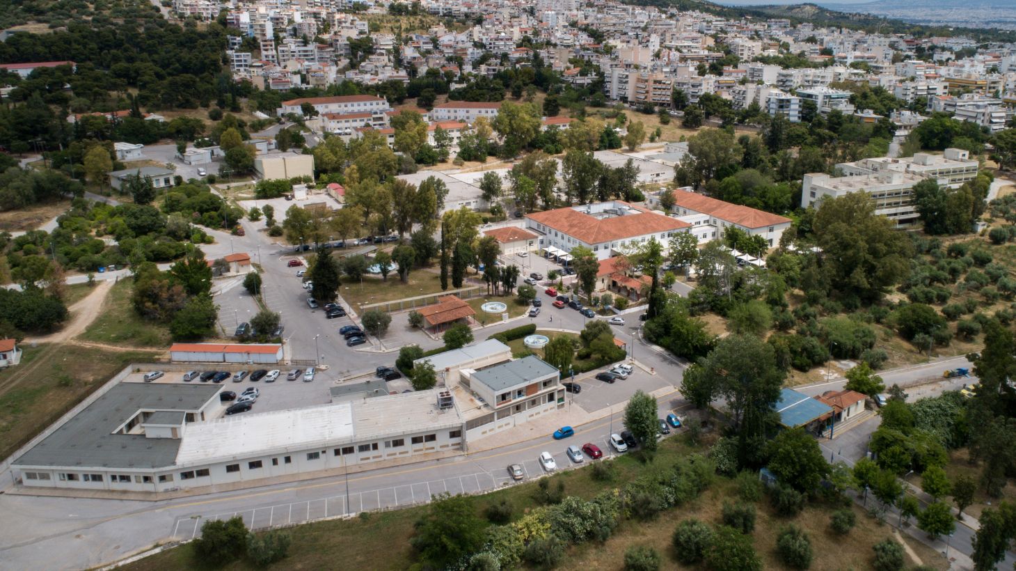 Δαφνί: Στον εισαγγελέα ο 47χρονος τρόφιμος που σκότωσε με γυαλί 44χρονη ...