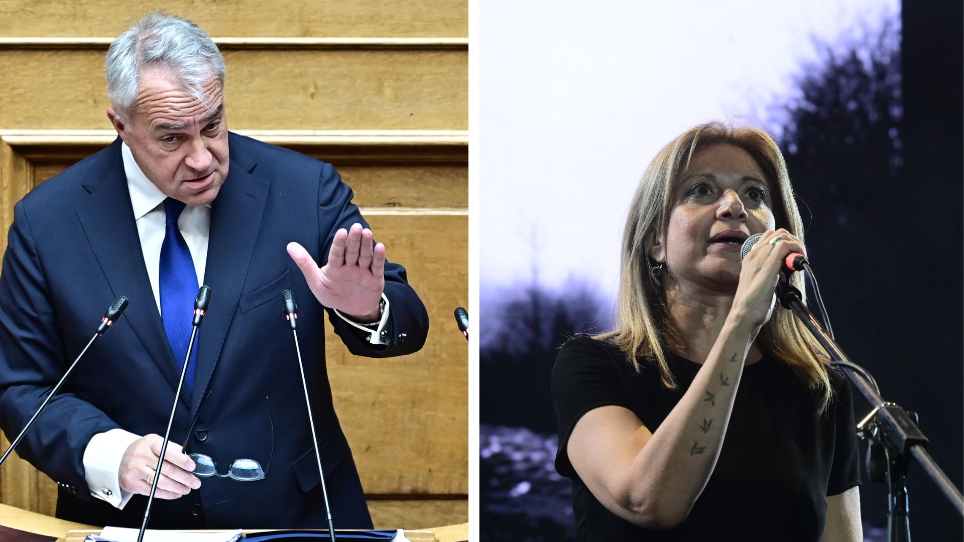Καρυστιανού κατά Βορίδη: Γιατί βάζετε όρο να διερευνήσει η ...