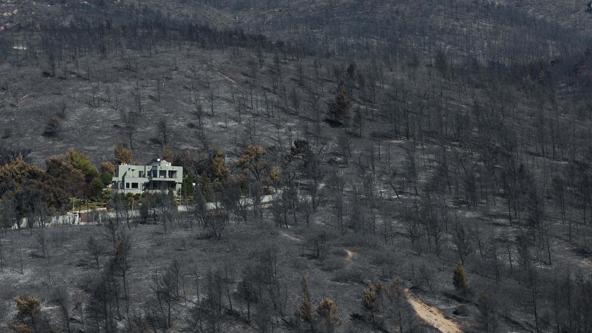 «SOS» εκπέμπει η Πάρνηθα: Πλήρης εγκατάλειψη του Εθνικού Δρυμού – Τι ...